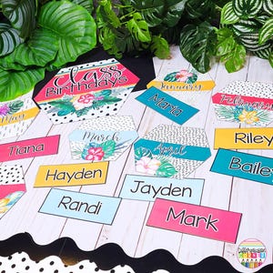 Tropical Classroom Birthday Display | Tropical Classroom Decor ...