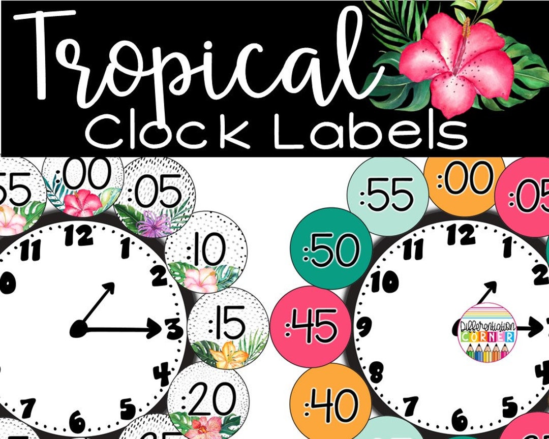 PRINTABLE Tropical Clock Label Numbers in 5 Minute Intervals Tropical ...