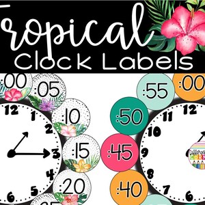 PRINTABLE Tropical Clock Label Numbers in 5 Minute Intervals Tropical ...