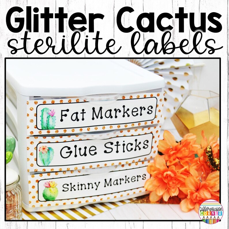 Editable Cactus Classroom Labels Cactus Classroom Decor - Etsy