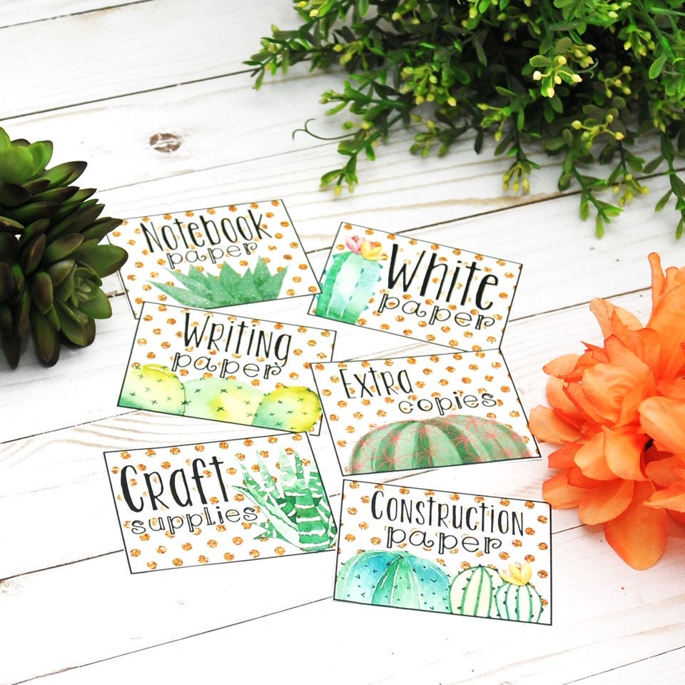 Editable Cactus Classroom Labels Cactus Classroom Decor Succulent ...