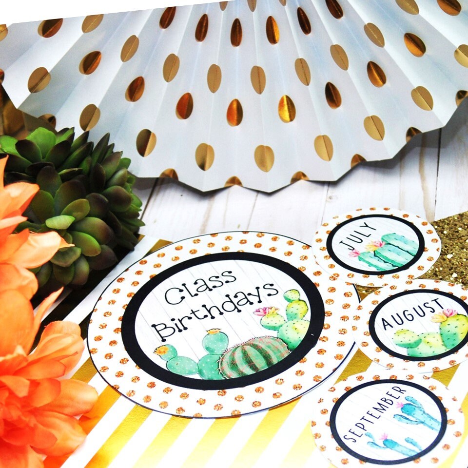 Cactus Succulent Classroom Calendar & Weather Display Set Cactus ...