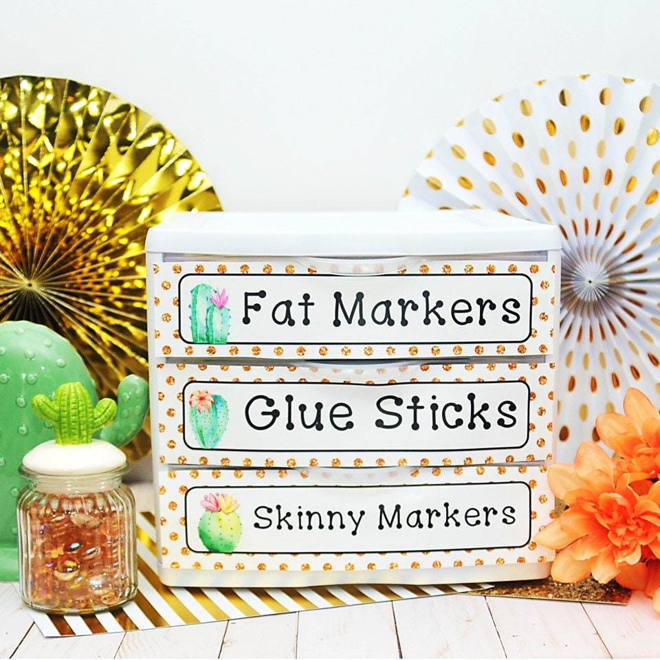 Editable Cactus Classroom Labels Cactus Classroom Decor - Etsy