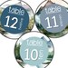 PRINTABLE Nature Table Numbers Nature Classroom Decor Classroom Table ...