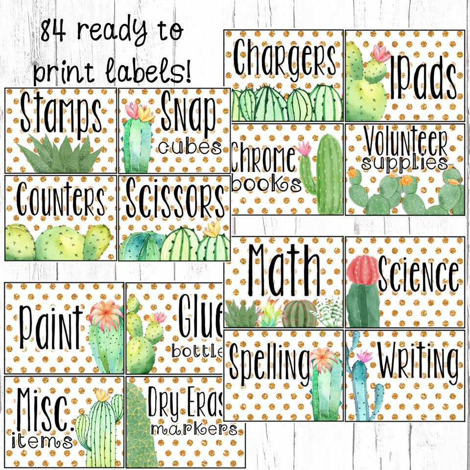 Editable Cactus Classroom Labels Cactus Classroom Decor Succulent ...