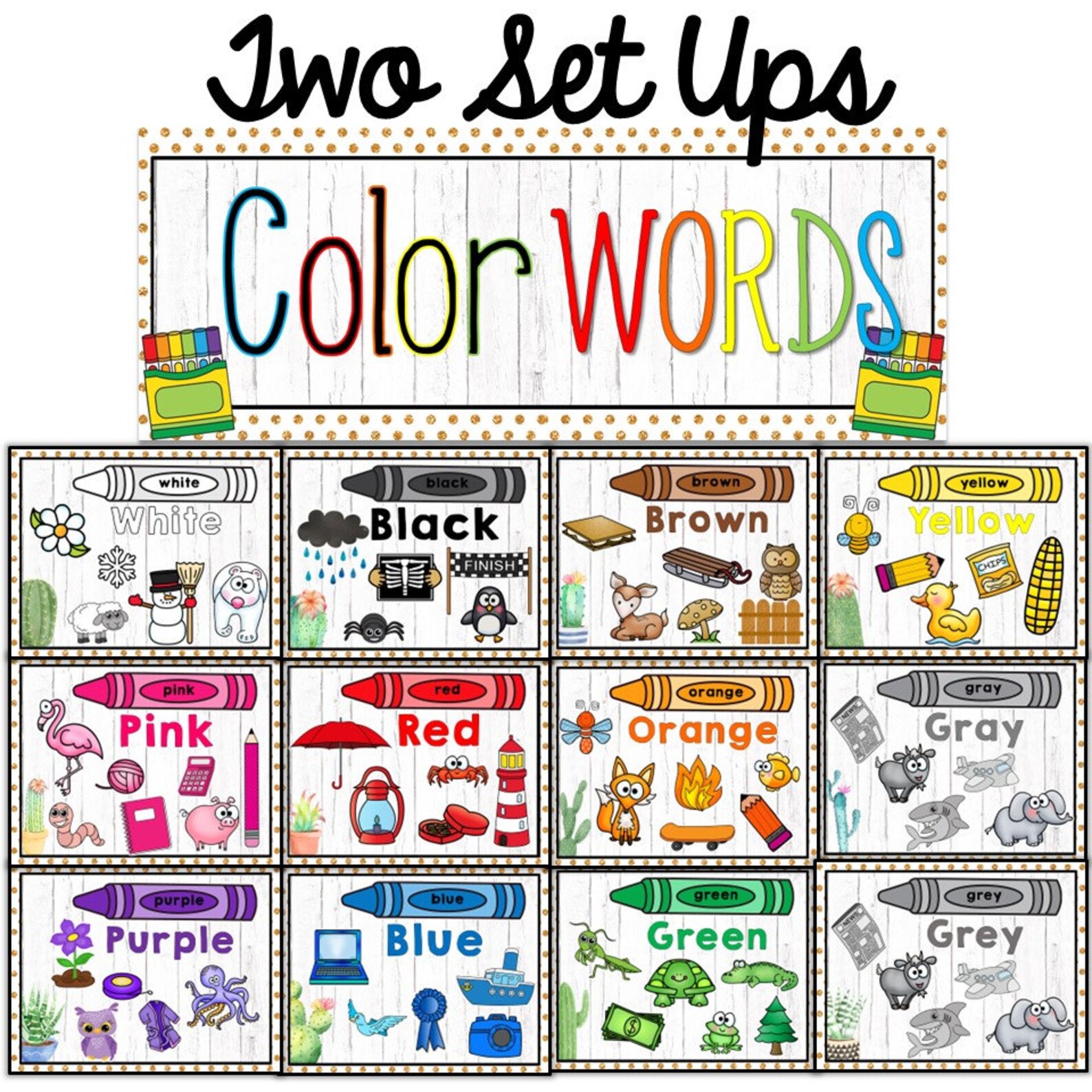 PRINTABLE Color Posters Pack Succulent Cactus Classroom - Etsy