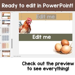 Chicken Classroom Calendar Set & Weather Display Farmhouse Classroom ...