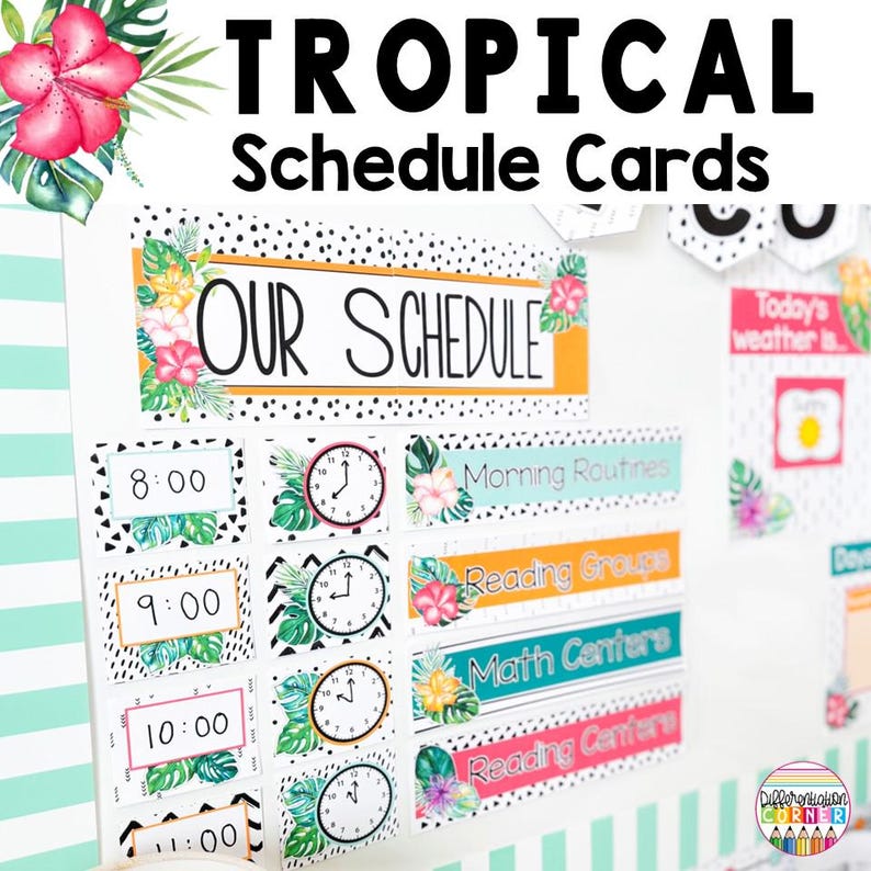 Editable Daily Schedule Cards Tropical Classroom Decor Printable ...