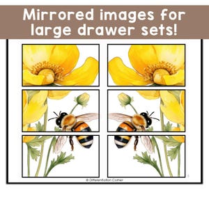 Bee Teacher Tool Box Labels Bee Classroom Decor Teacher Toolbox Labels ...