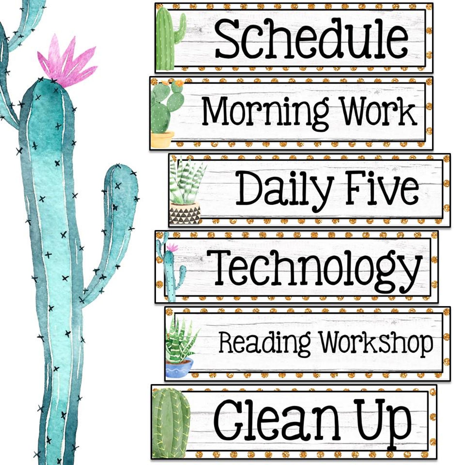 Editable Cactus Succulent Daily Schedule Cards Plant Classroom Decor ...