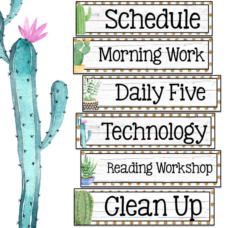 Editable Cactus Succulent Daily Schedule Cards Plant Classroom Decor ...