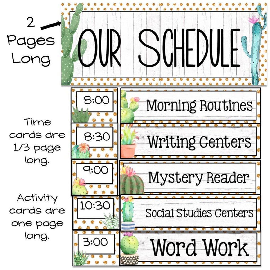 Editable Cactus Succulent Daily Schedule Cards Plant Classroom Decor ...