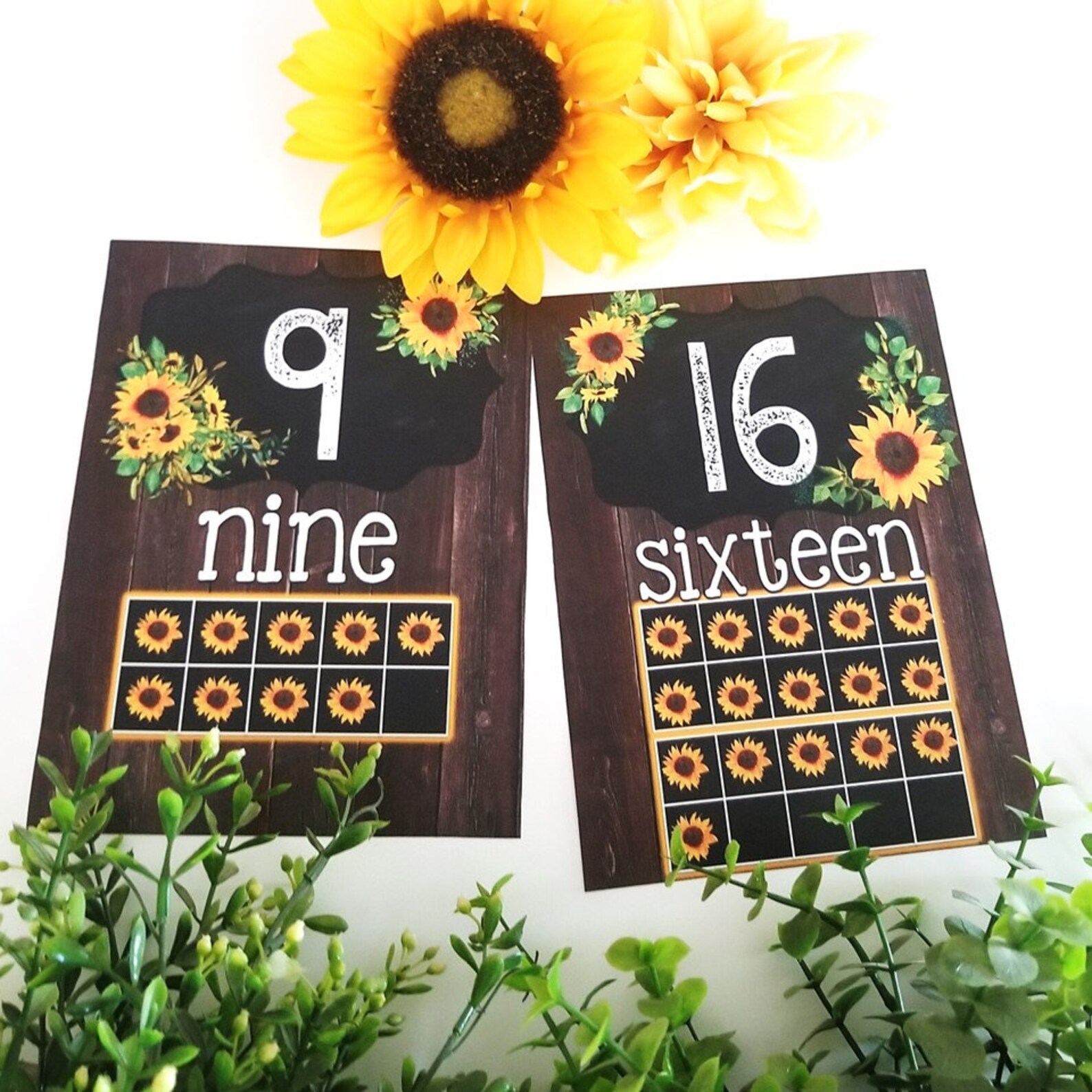 Number Posters 0-30 Number Line With Negative Numbers Sunflower ...