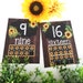 Number Posters 0-30 Number Line With Negative Numbers Sunflower ...