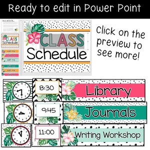 Editable Daily Schedule Cards Tropical Classroom Decor Tropical ...