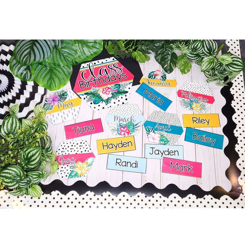 Tropical Classroom Birthday Display Tropical Classroom Decor Classroom ...