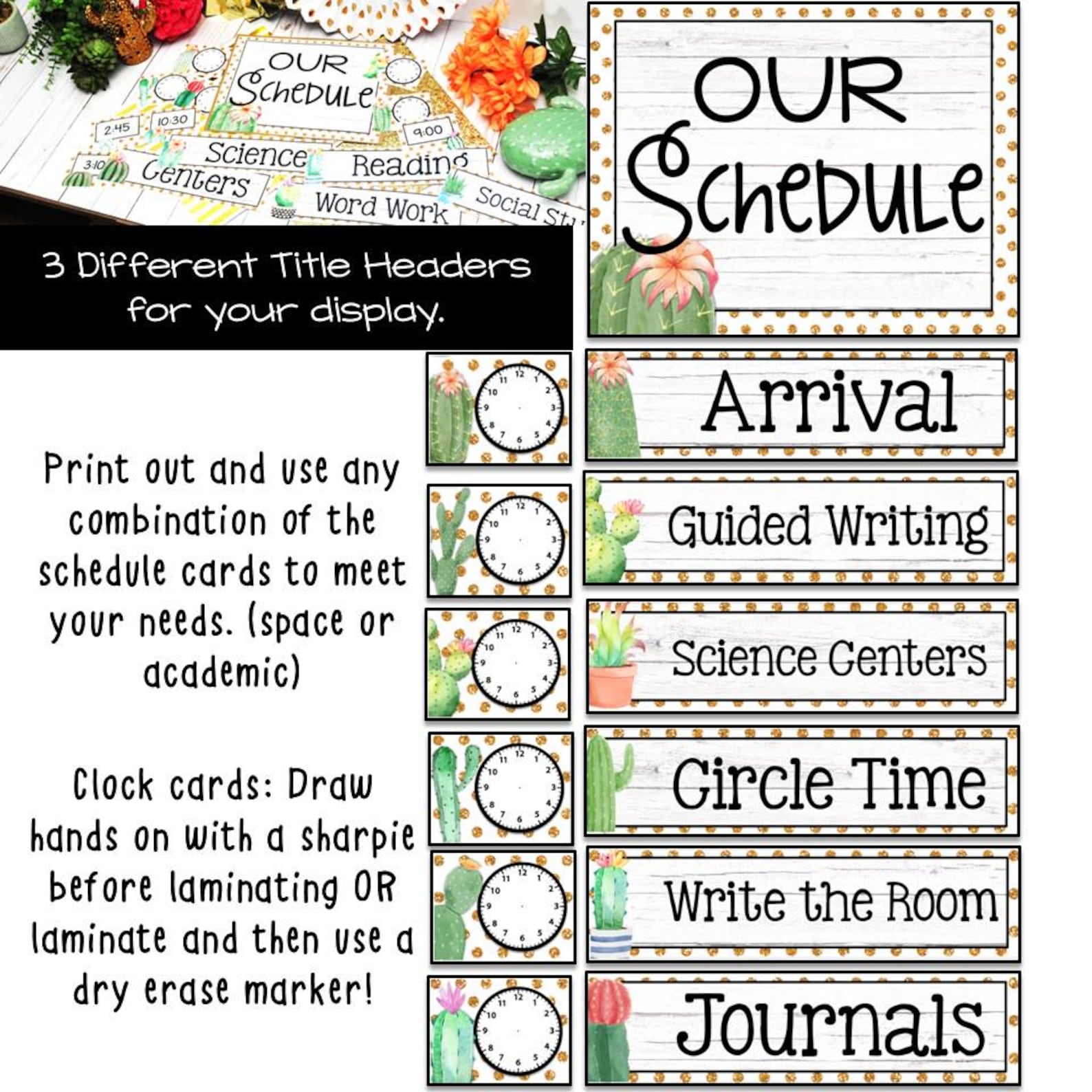 Editable Cactus Succulent Daily Schedule Cards Plant Classroom Decor ...