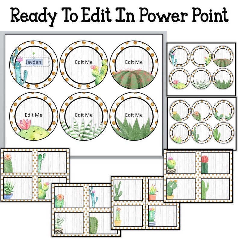 Editable Classroom Jobs Chart Template Cactus and Succulent Classroom ...