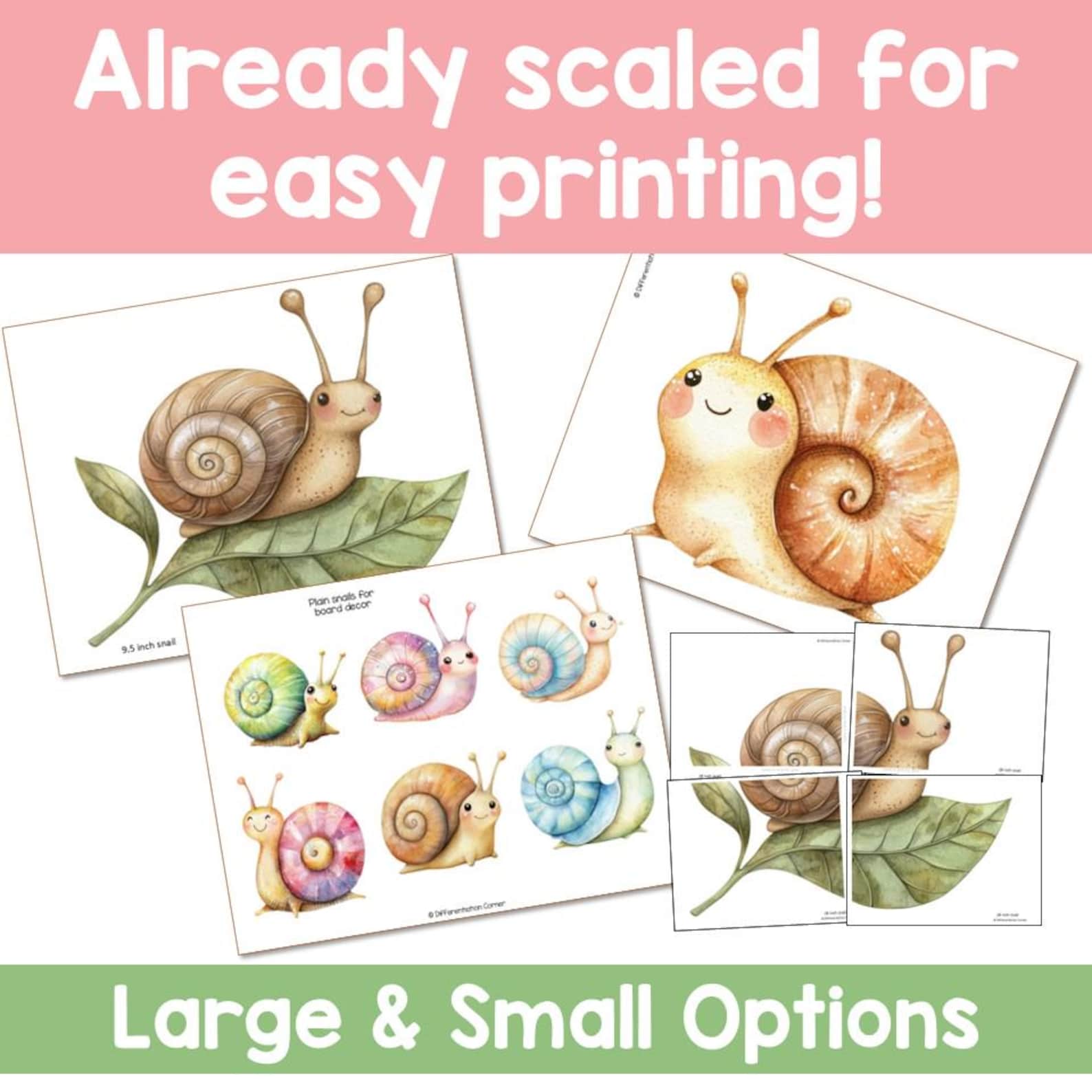 Cute Snails Spring Door Decor March Door Decorations Spring Bulletin ...