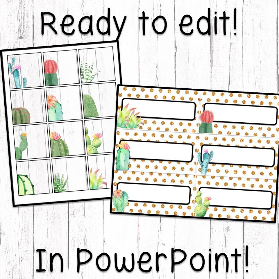 Cactus Succulent Classroom Calendar & Weather Display Set Cactus ...
