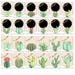 Editable Bunting Bulletin Board Welcome Banner Letters | Cactus and ...