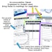 Special Education Teacher Binder Caseload Binder Special Education ...