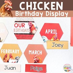 Chicken Farm Classroom Birthday Display Farmhouse Classroom Decor Farm ...