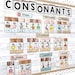 Sound Wall Classroom Posters | Boho Neutral Classroom Decor Phonics ...