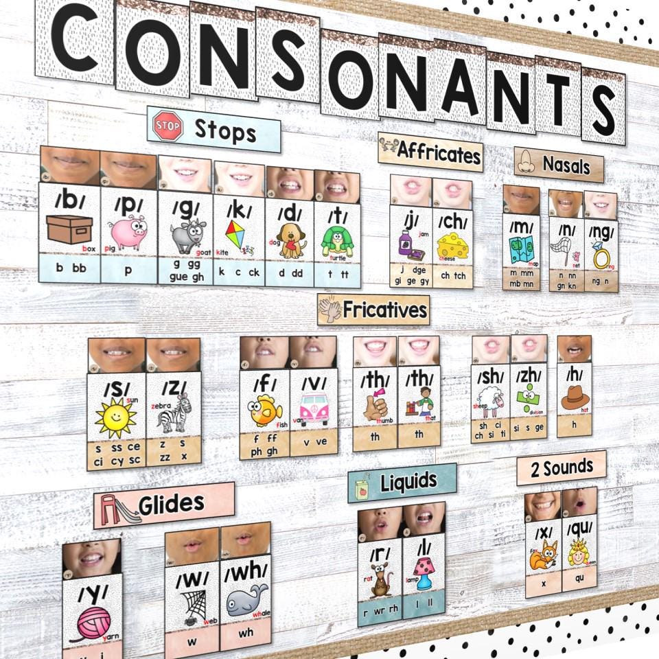 Sound Wall Classroom Posters | Boho Neutral Classroom Decor Phonics ...