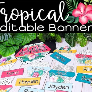 Tropical Classroom Birthday Display Tropical Classroom Decor Classroom ...