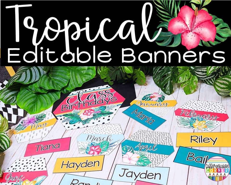 Tropical Classroom Birthday Display Tropical Classroom Decor Classroom ...