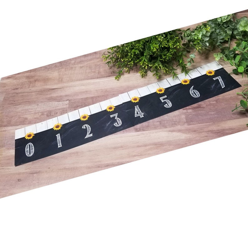 Number Posters 0-30 Number Line With Negative Numbers Sunflower ...