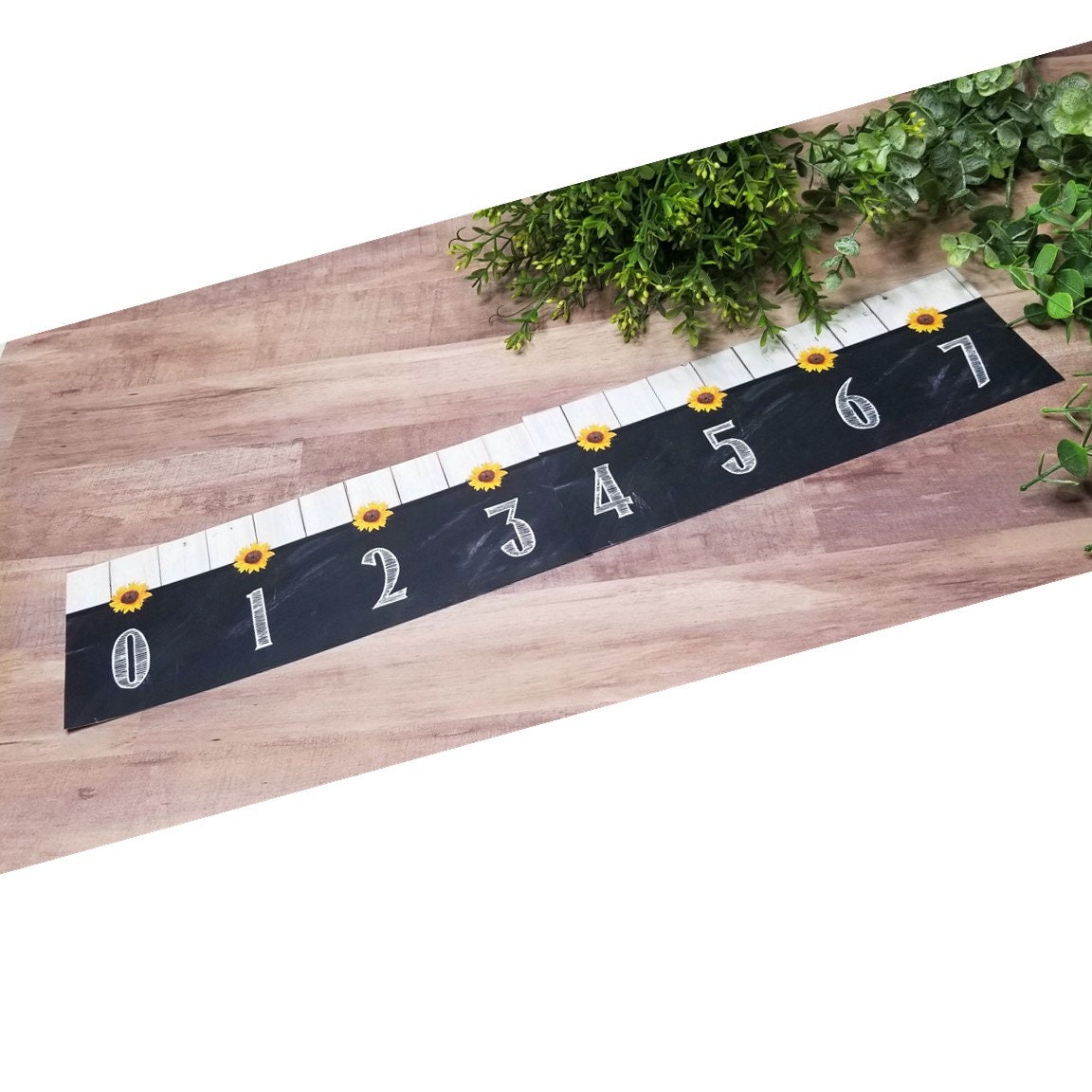 Number Posters 0-30 Number Line With Negative Numbers Sunflower ...