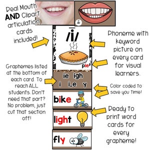 Sound Wall Classroom Posters Cow Classroom Decor Phonics Posters ...
