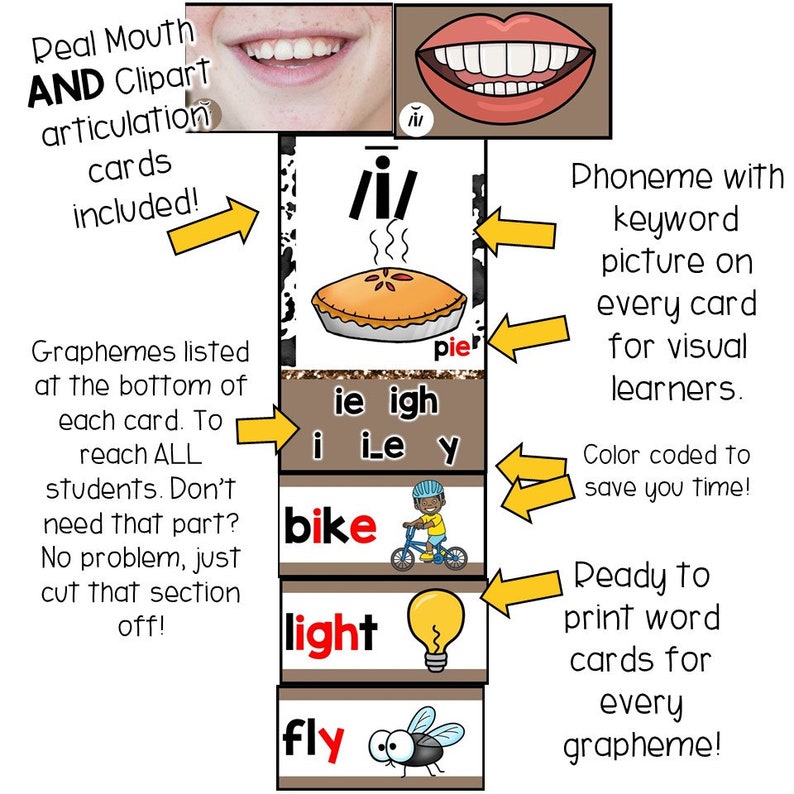 Sound Wall Classroom Posters Cow Classroom Decor Phonics Posters ...