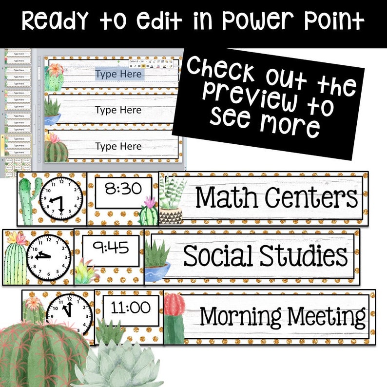 Editable Cactus Succulent Daily Schedule Cards Plant Classroom - Etsy