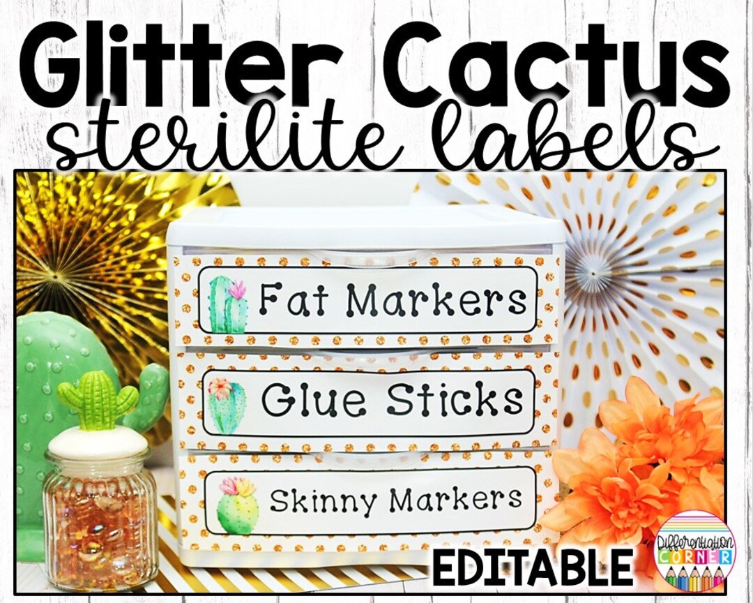 Editable Cactus Classroom Labels Cactus Classroom Decor Succulent ...