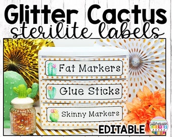 CACTUS Classroom Labels Editable Cactus Classroom Decor - Etsy