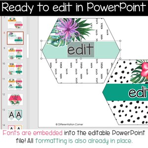 Tropical Classroom Birthday Display Tropical Classroom Decor Classroom ...