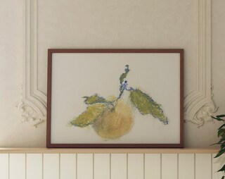 Splendus - Etsy Canada