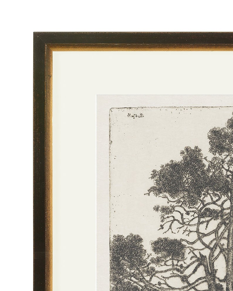 FRAMED Trees Etching 1. Etching Tree Print. Framed Trees Wall Art ...