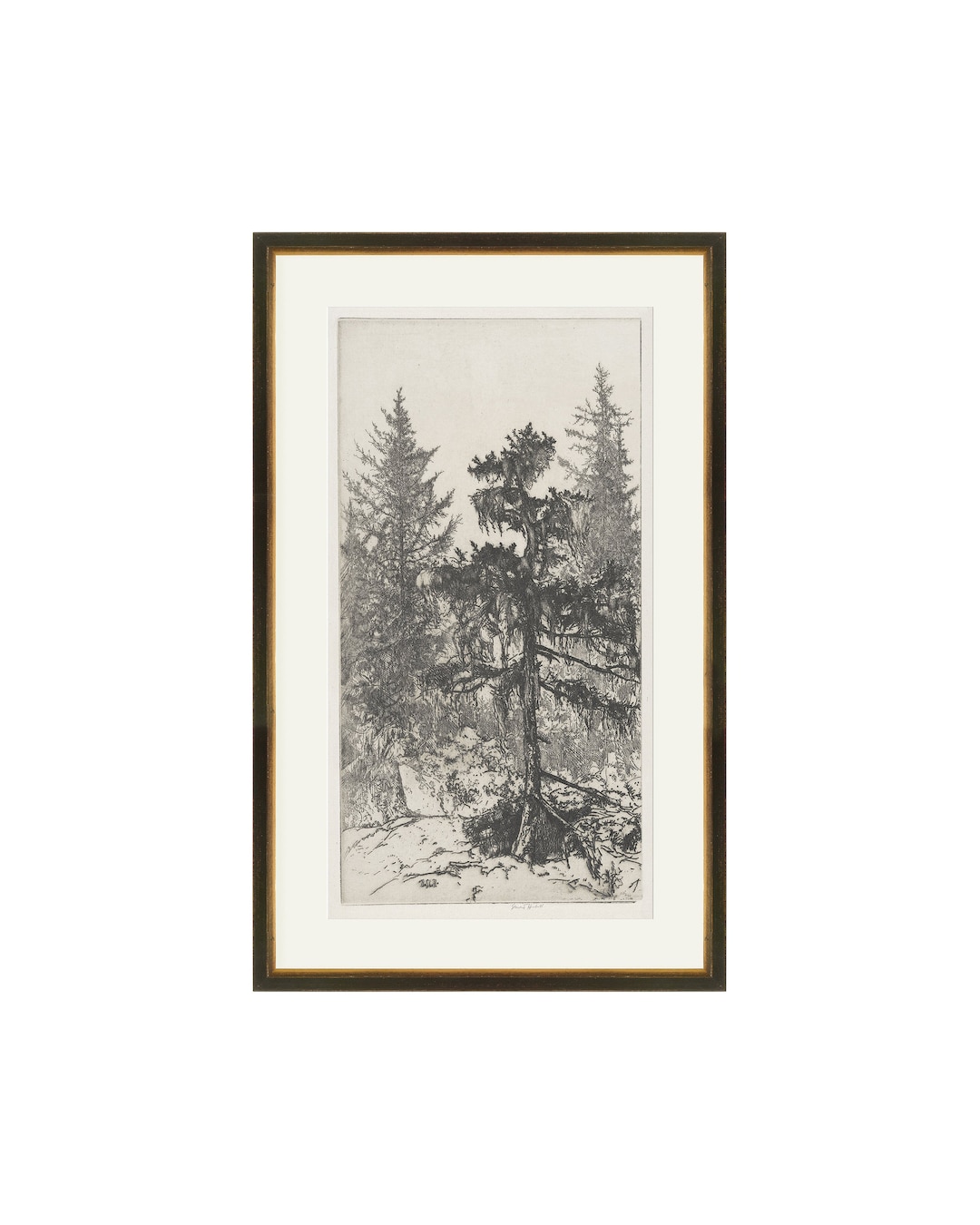 FRAMED. Trees Etching 2. Etching Tree Print. Trees Wall Art. - Etsy
