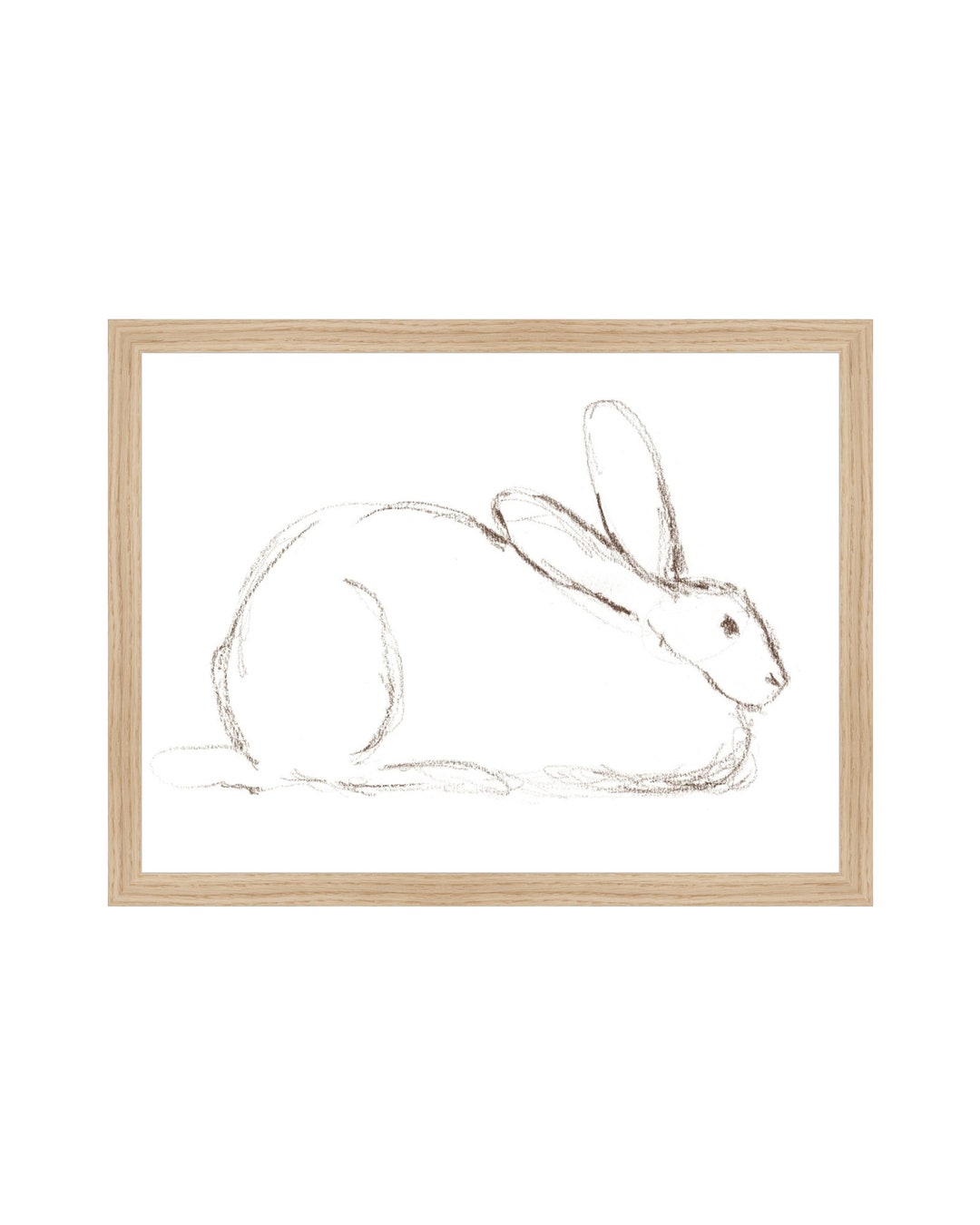 FRAMED Bunny Charcoal Sketch. Drawing Animal Print. Sketch of Rabbit ...