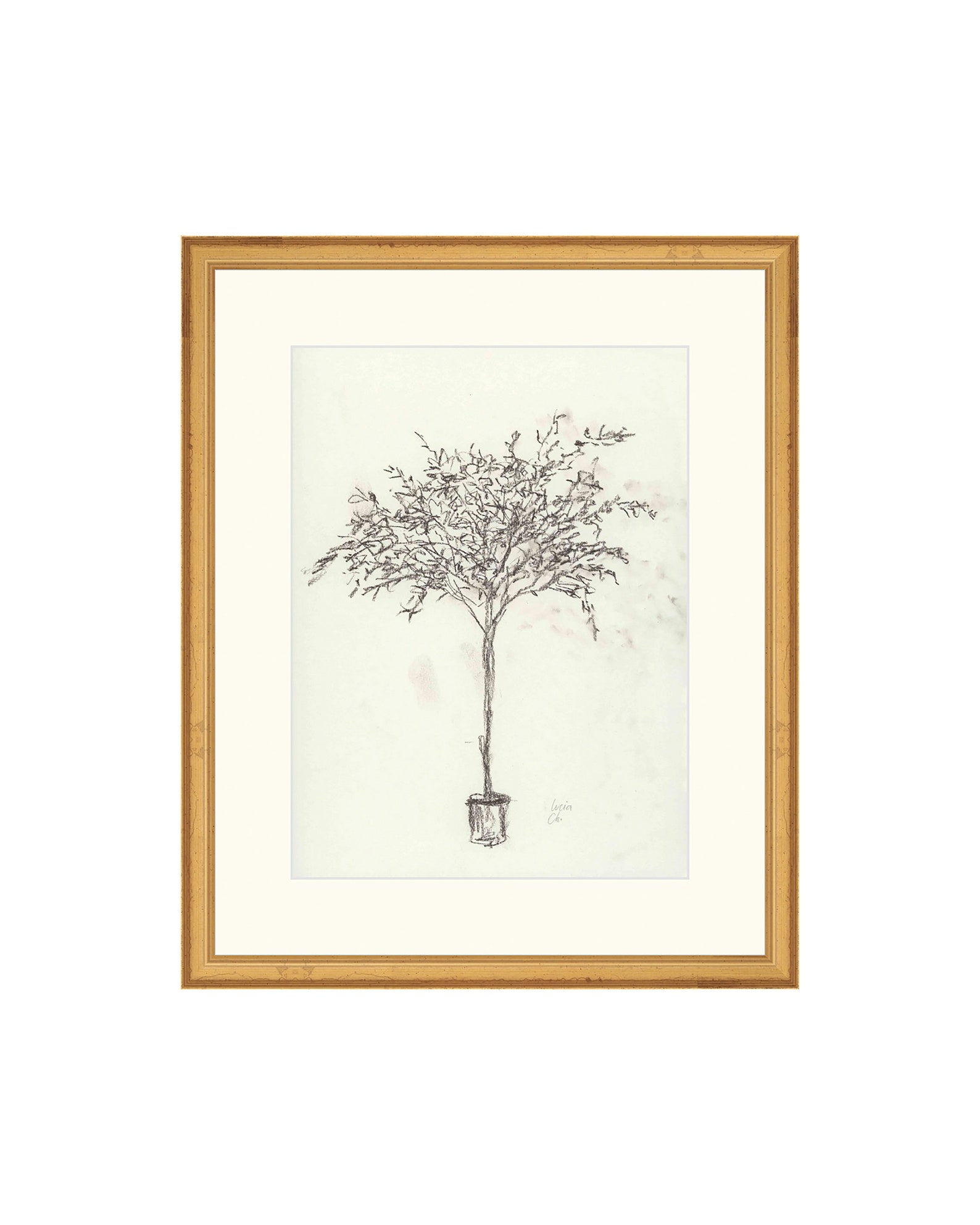 FRAMED. Olive Tree Sketch II. Framed Tree Wall Art. Vintage - Etsy