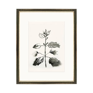 Flowing Leaves. Ink Botanicals. Ink Flower Drawing. Leaves Print Wall ...