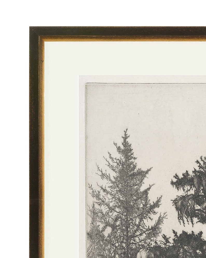 FRAMED. Trees Etching 2. Etching Tree Print. Trees Wall Art. - Etsy