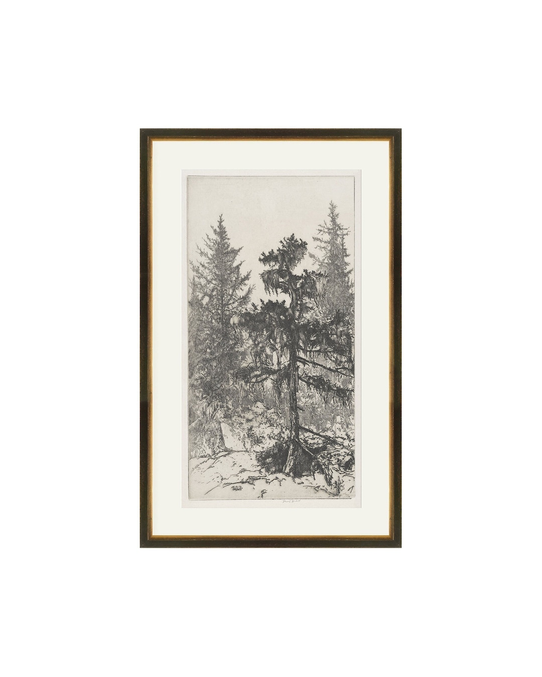 FRAMED. Trees Etching 2. Etching Tree Print. Trees Wall Art. Framed ...