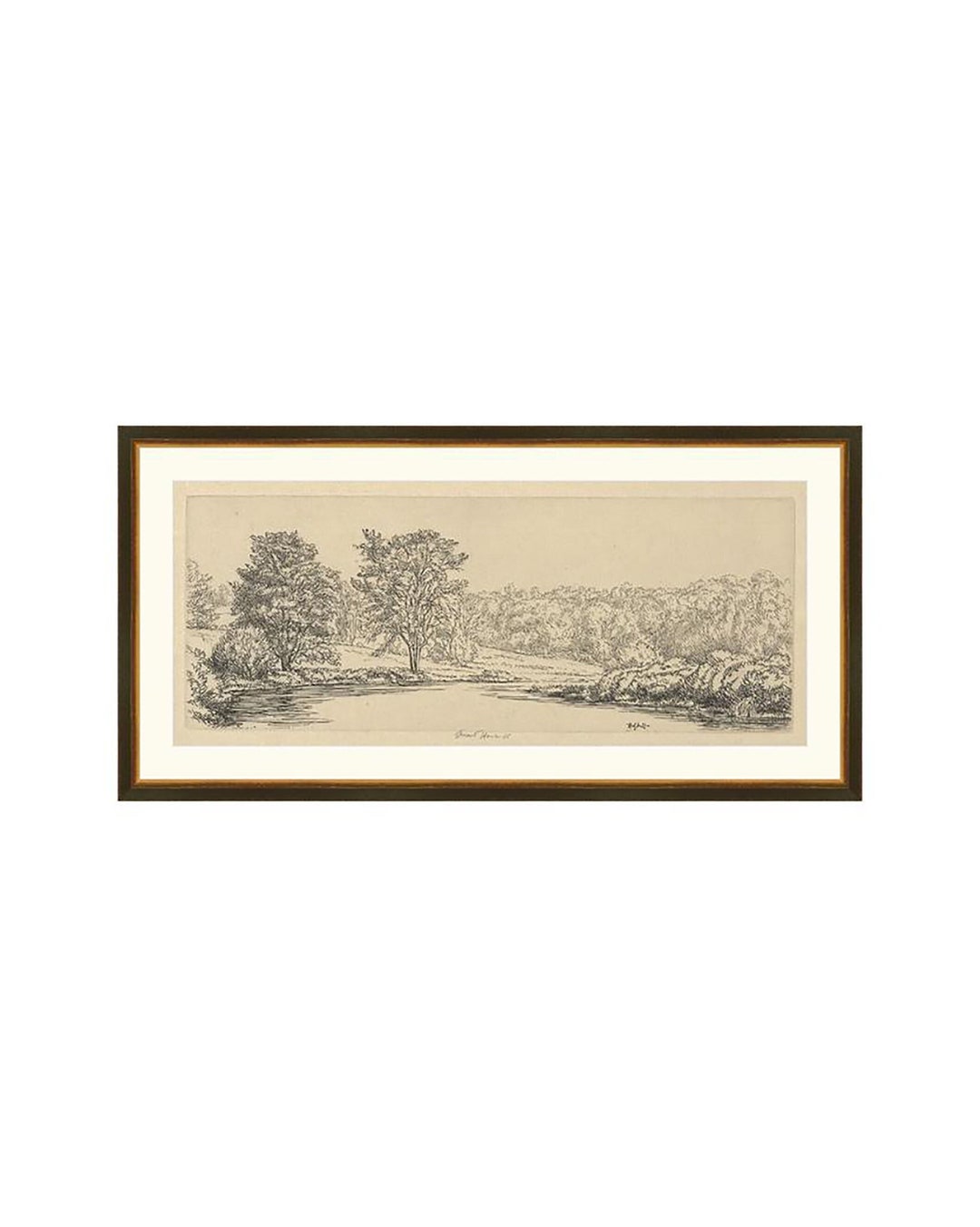 FRAMED Forest Etching. Vintage Forest Drawing. Framed Forest Landscape ...