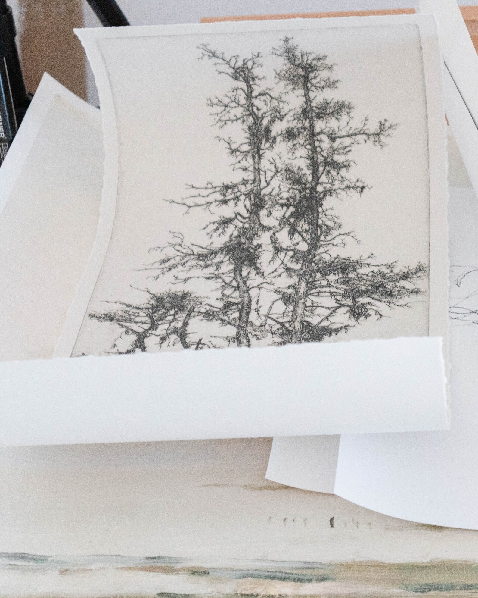 Trees Etching 2. Trees Wall Art Printed. Botanical Etching. - Etsy