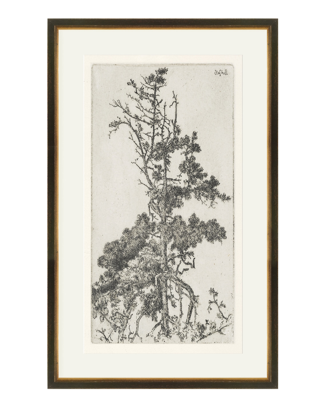 Set of 4 Trees Etchings Vintage Trees Prints Gallery Wall - Etsy
